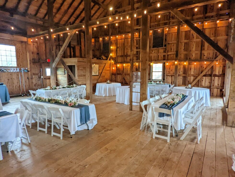 About Us - Bally Cliff Farm